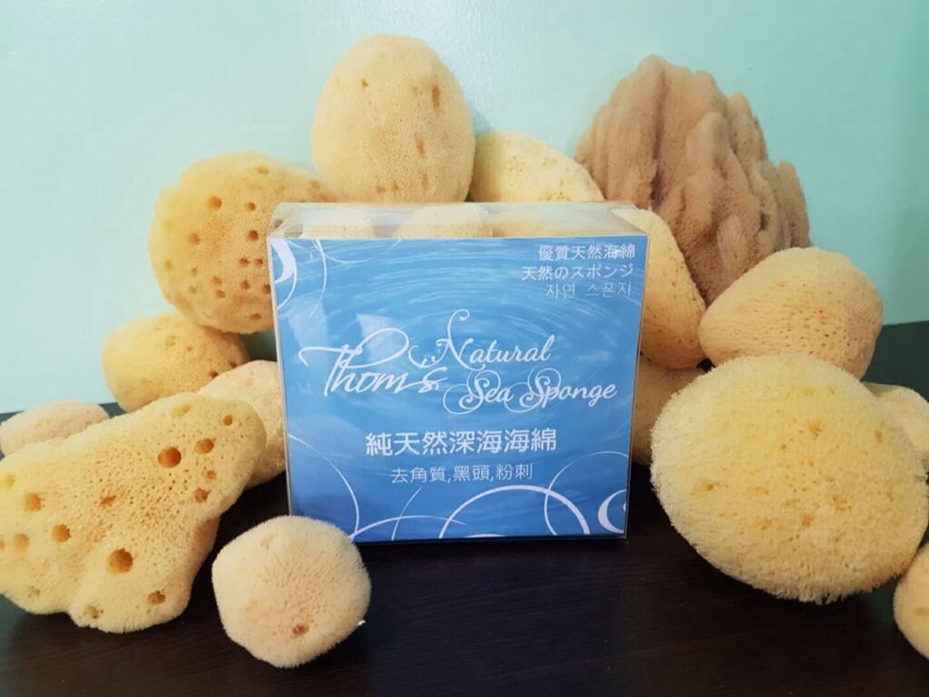 Products - Sponge.ph - Natural Sea Sponge