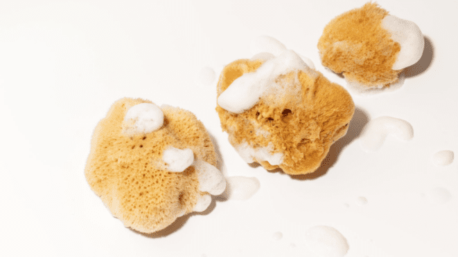 Contact Us - Sponge.ph - Natural Sea Sponge