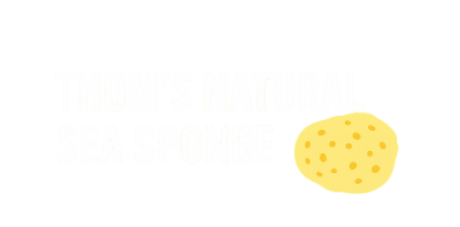 Sponge.ph | Philippine Natural Sea Sponge